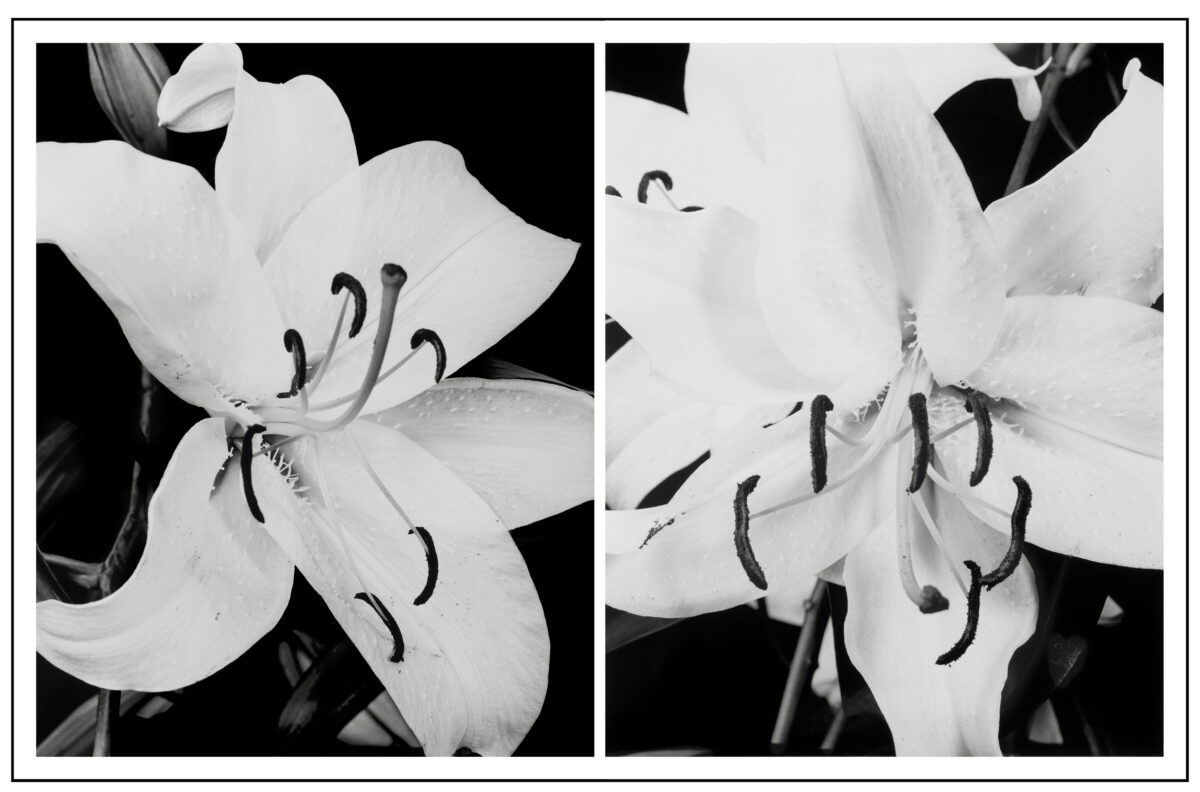 K-Art Projects USA Exhibit at ARTEXPO New York, March 30-April 2, 2023 ...